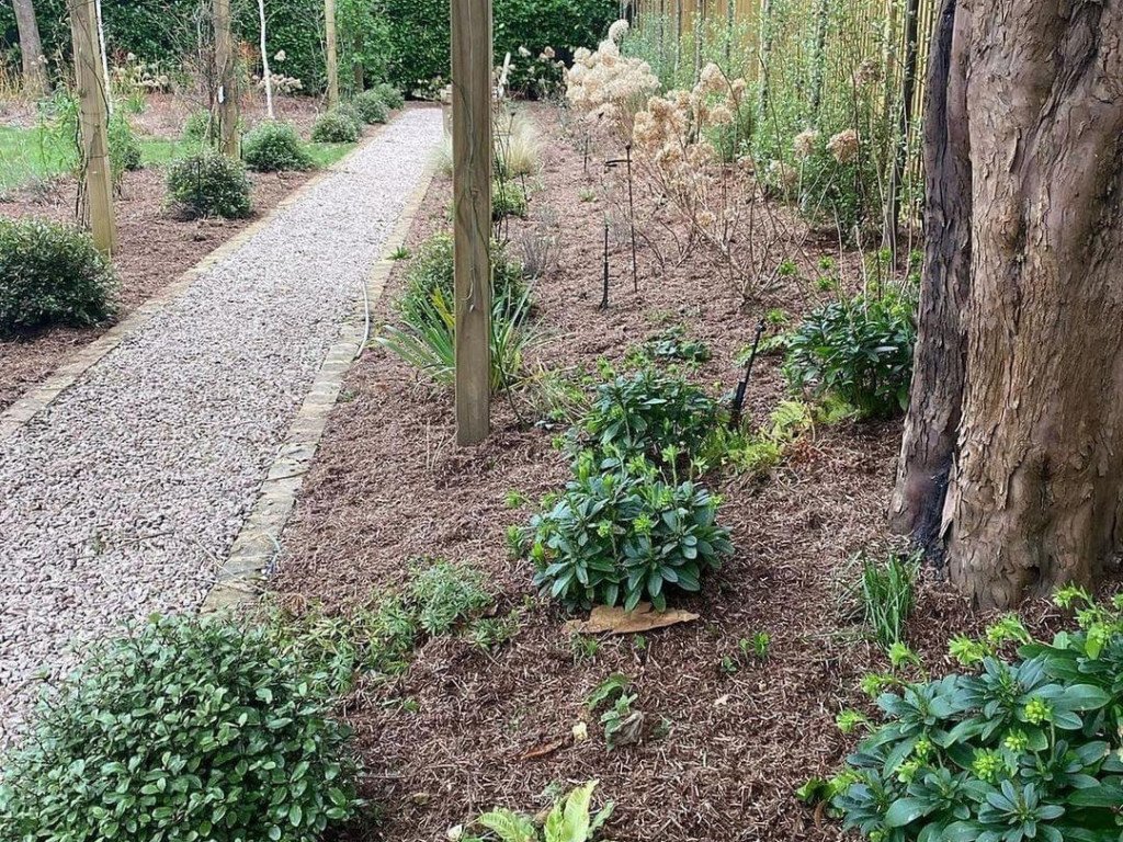 Customer Reviews - Strulch